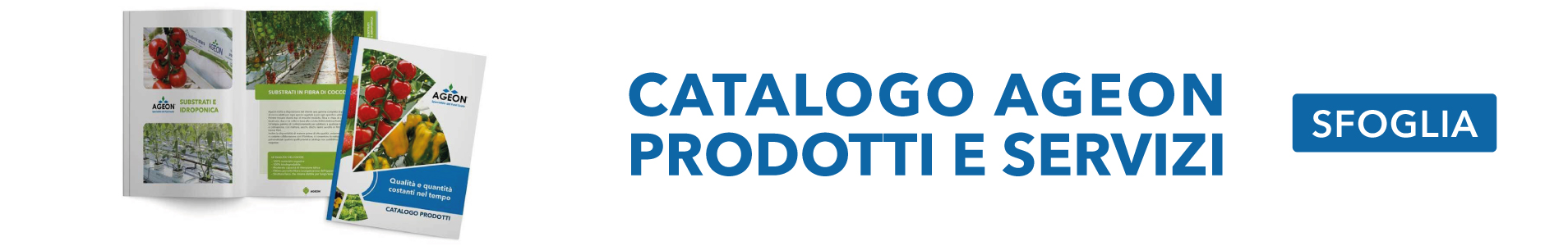 Ageon | Provider of specific solutions for the Out of Ground